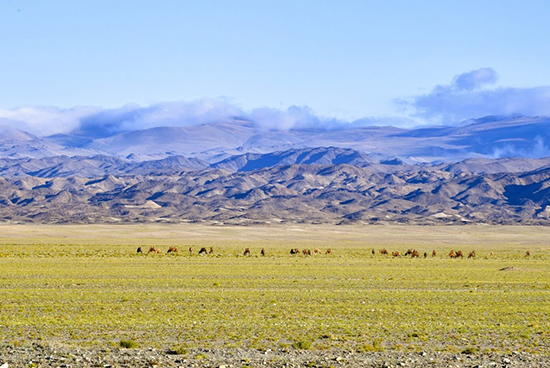 Mongolia Awaits: A Journey Beyond the Horizon – Nomadic Hash